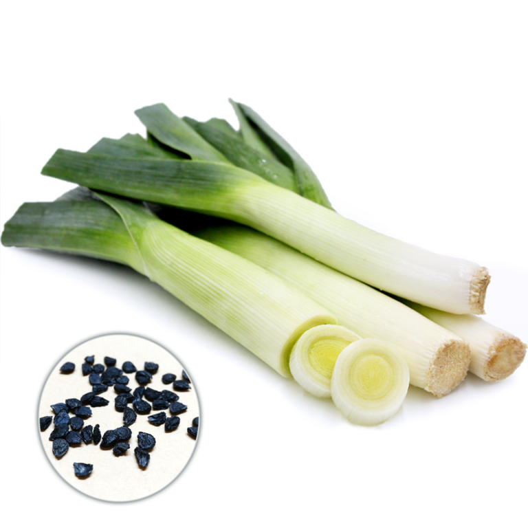 50 Giant Winter Leek Seeds - Welldales