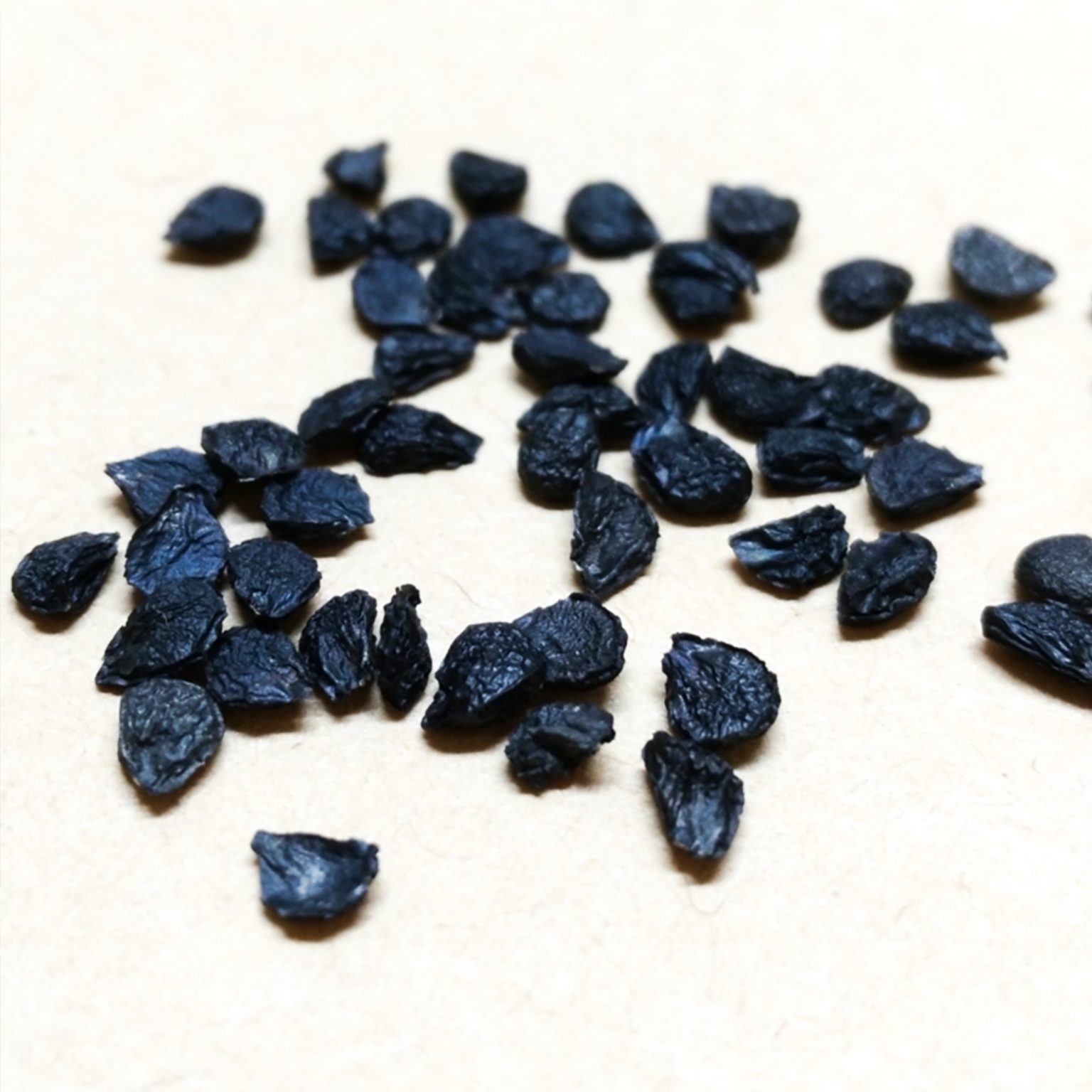 50 Crunchy Spring Onion Seeds - Welldales