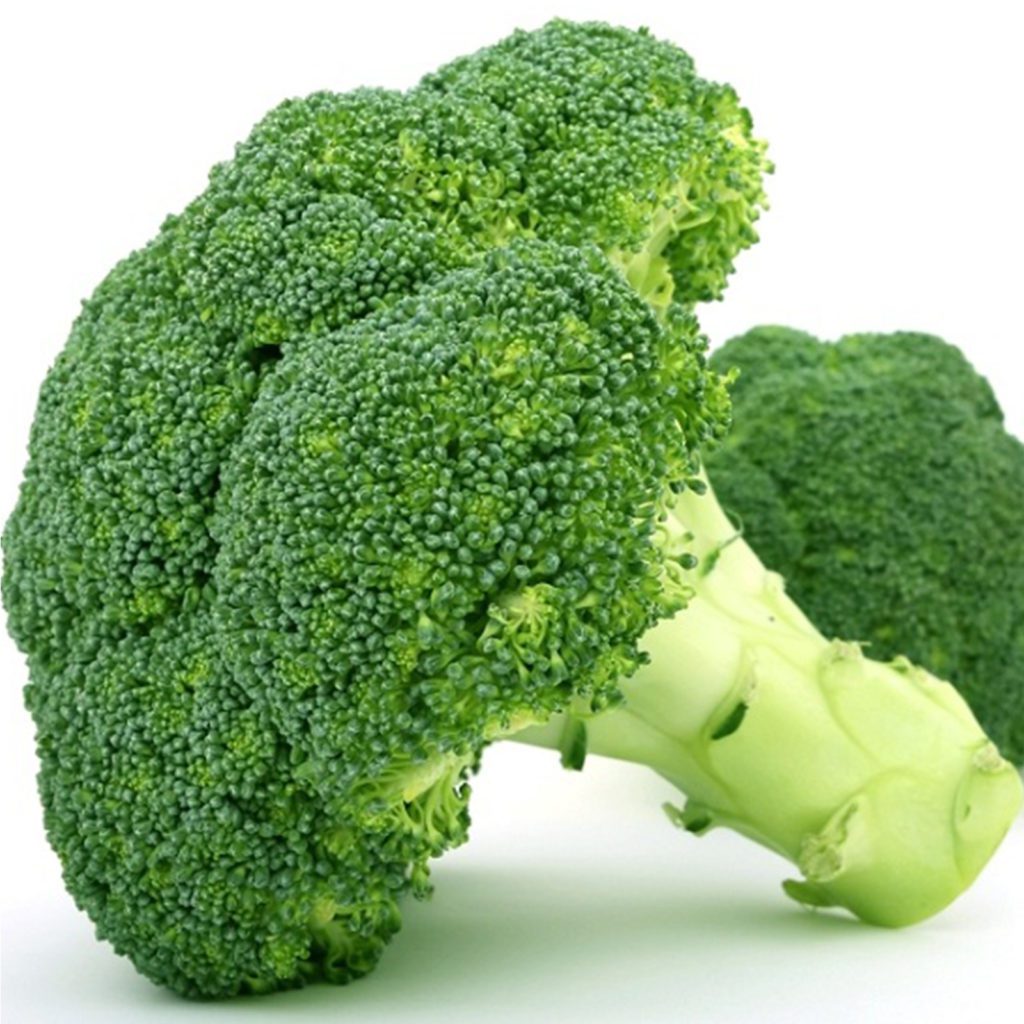 50 Giant Green Broccoli Seeds - Welldales