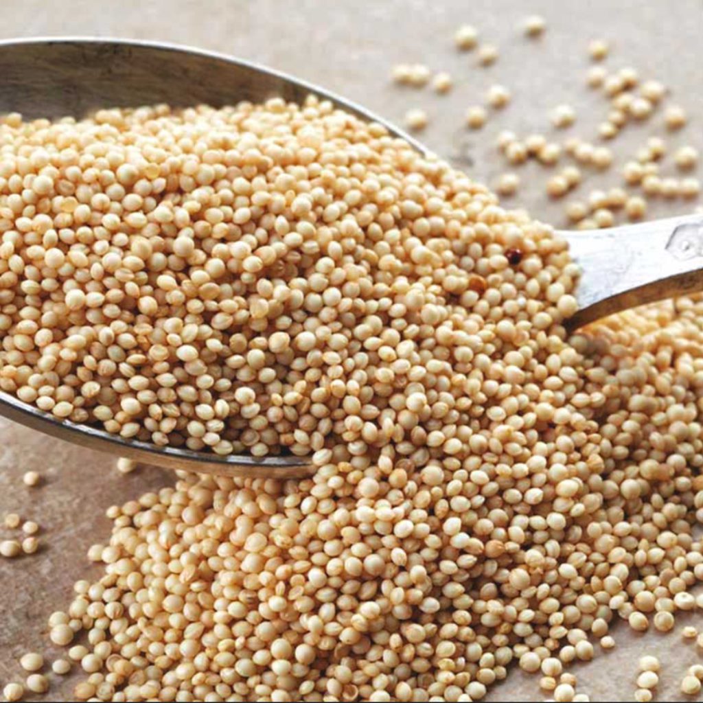 100 Red Micro Amaranth Seeds - Welldales