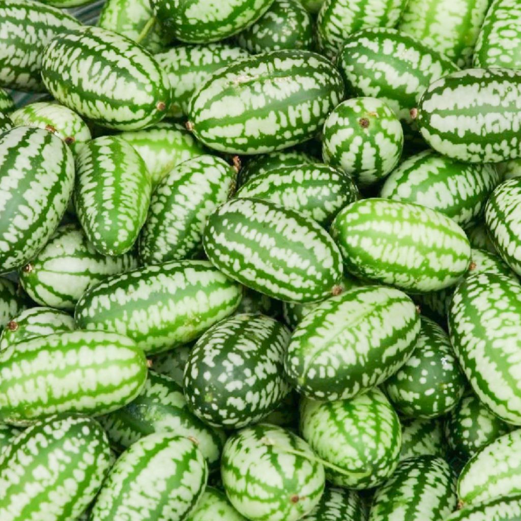 25 British Cucamelon Seeds - Welldales