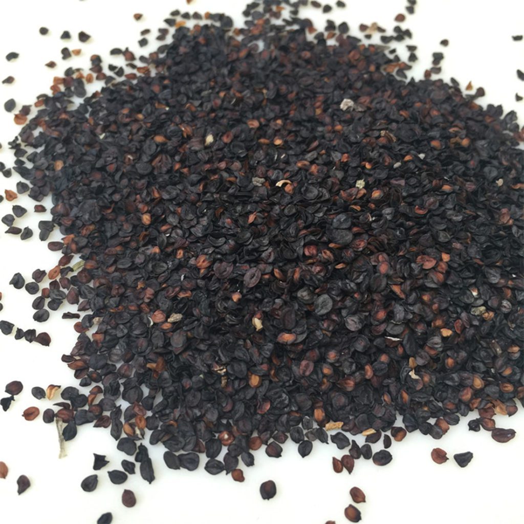 50 Mixed Chabaud Carnation Seeds - Welldales