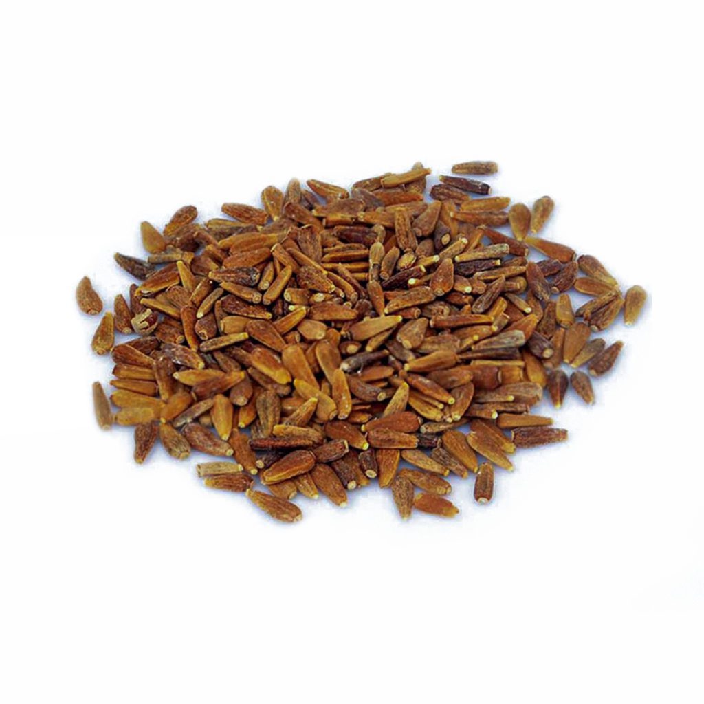 50 Winter Flower Aster Paeony Seeds - Welldales