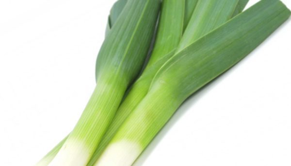 How to Sow Giant Winter Leek Seeds - Welldales