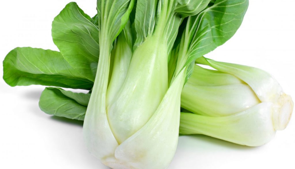 How to Sow Giant Pak Choi Seeds - Welldales