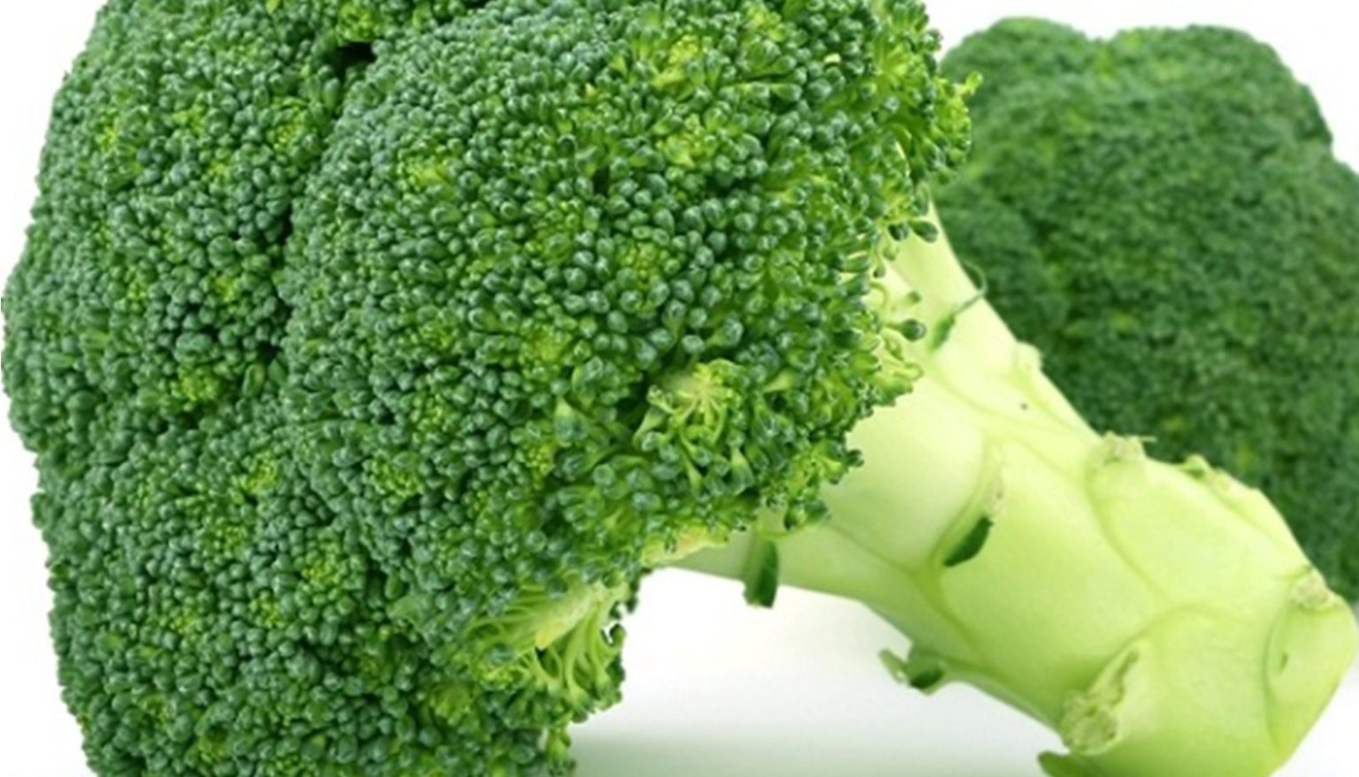 How to Sow Giant Green Broccoli Seeds - Welldales