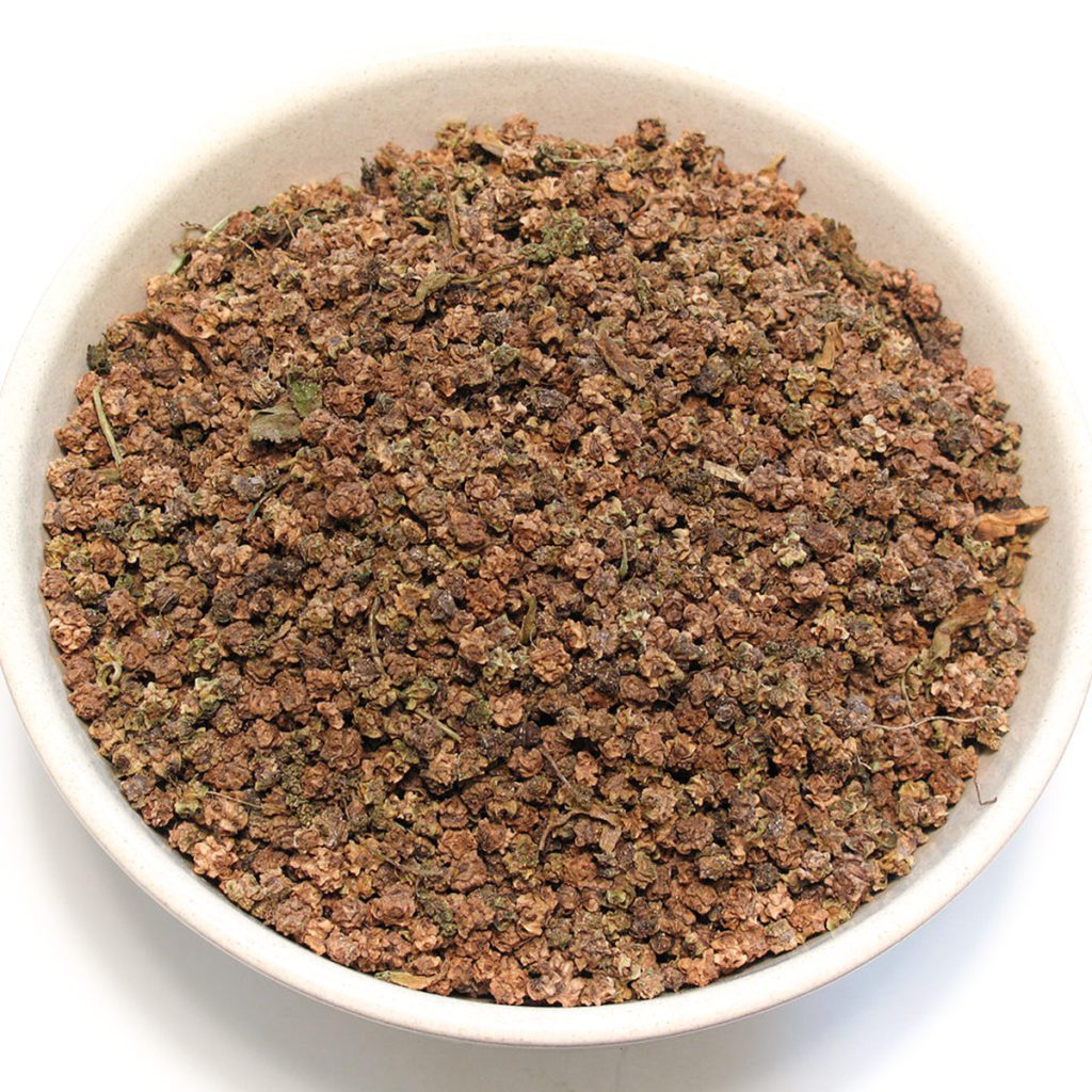 50 Exhibition Long Beetroot Seeds - Welldales