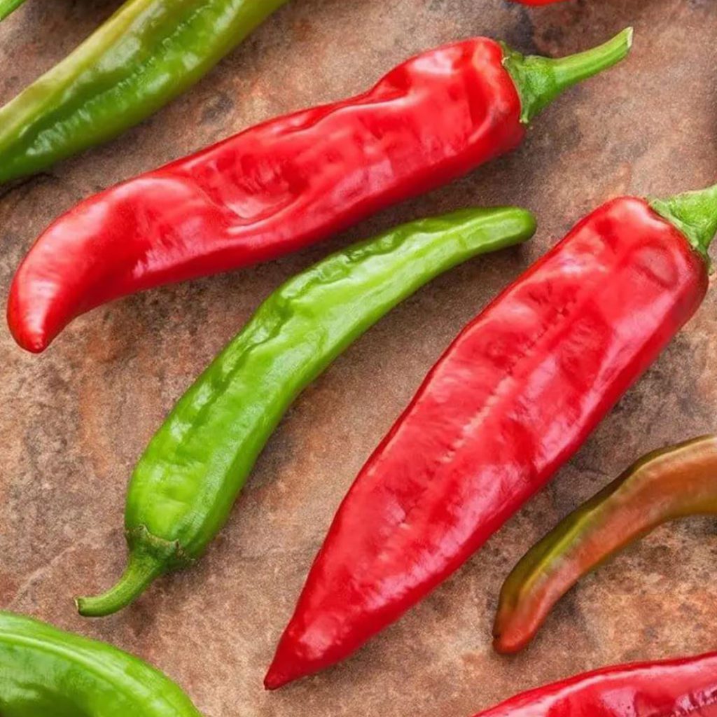 10 Giant Numex Sandia Chilli Seeds - Welldales