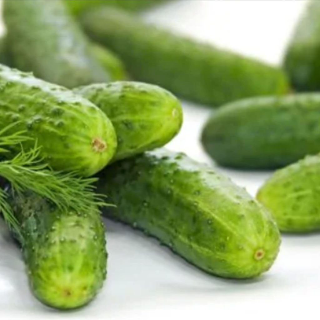 10 Mini Cucumber Gherkin Seeds - Welldales