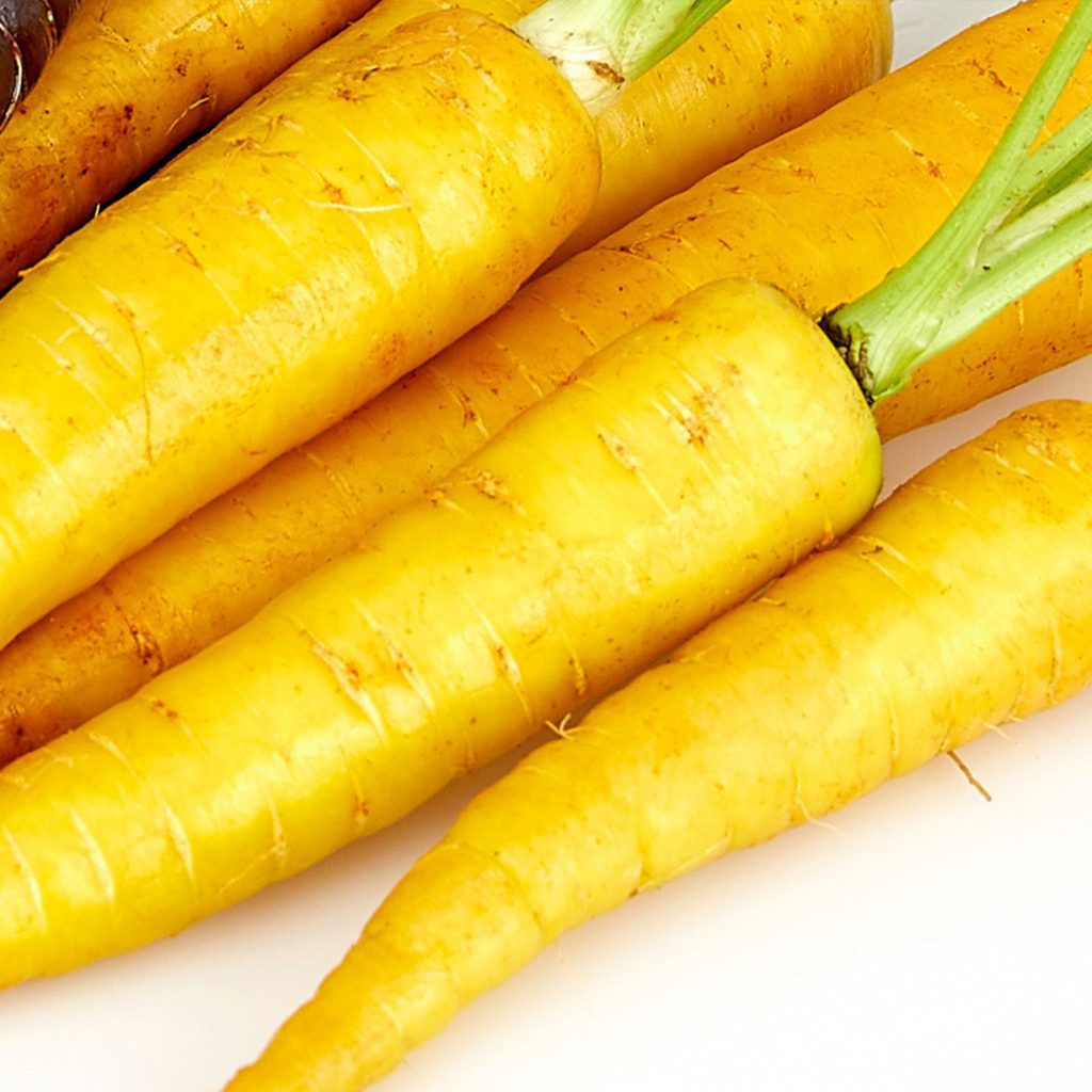 50 Yellowstone Carrot Seeds - Welldales
