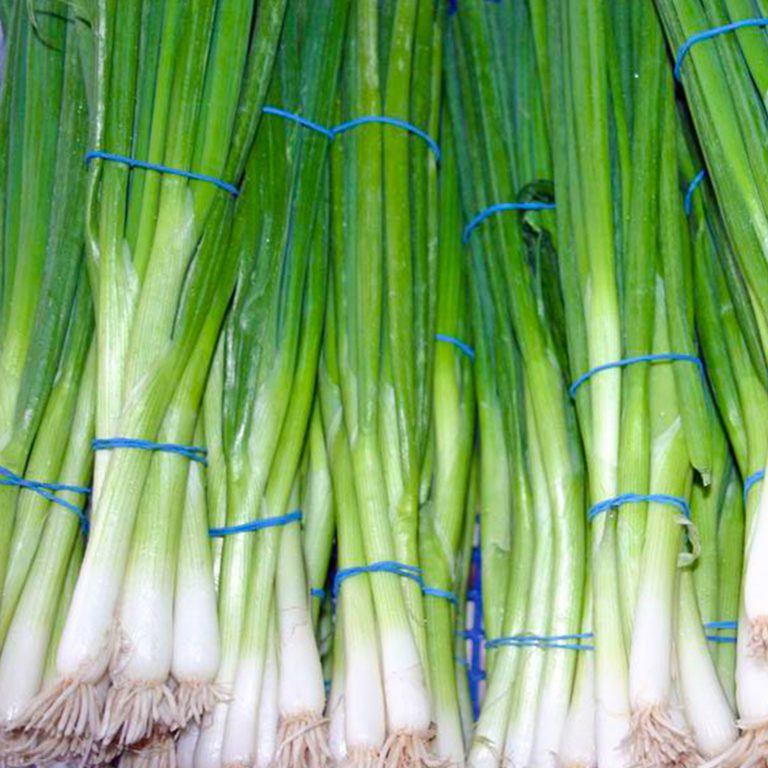 50 Mini Welsh Onion Seeds - Welldales