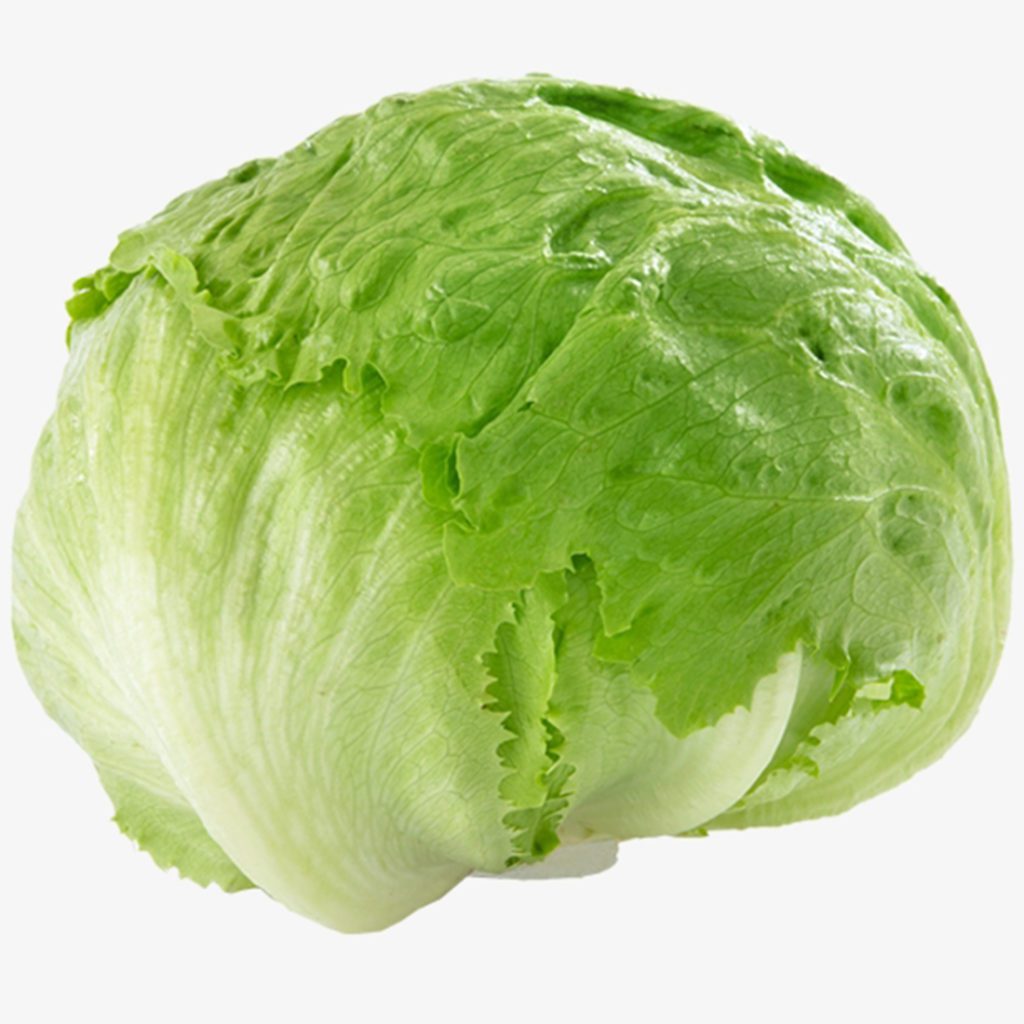 100 British Giant Iceberg Lettuce Seeds - Welldales