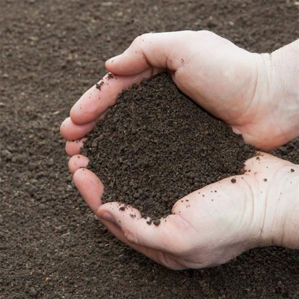 25L Premium Multi Purpose Top Soil - Welldales