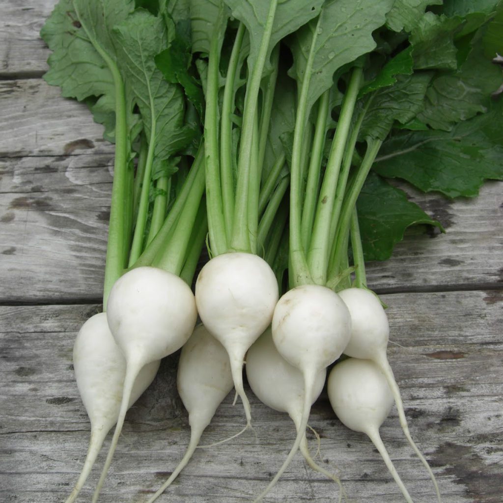 50 Italian White Turnip Seeds - Welldales