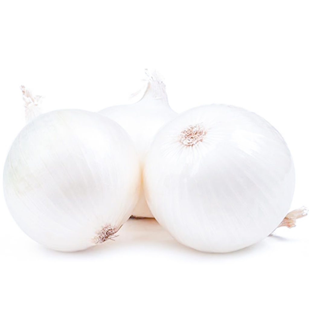 50 Giant Sweet White Spanish Onion Seeds - Welldales