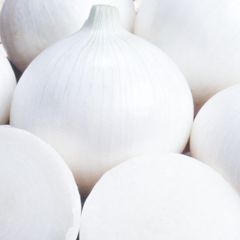 50 Giant Sweet White Spanish Onion Seeds - Welldales