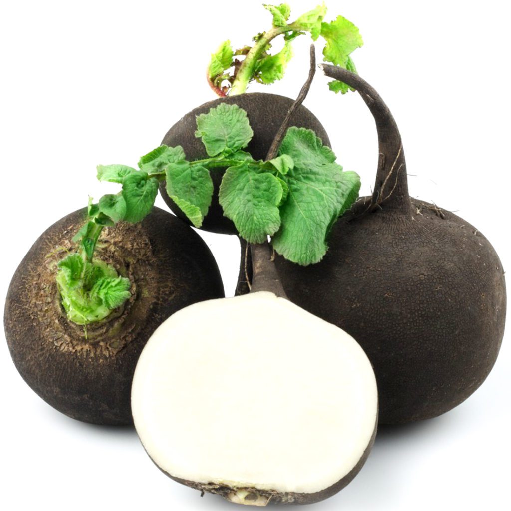 50 Spanish Black Large Radish Seeds - Welldales
