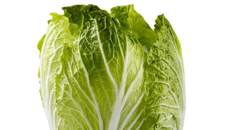 How to Sow Giant Wong Bok Cabbage Seeds - Welldales