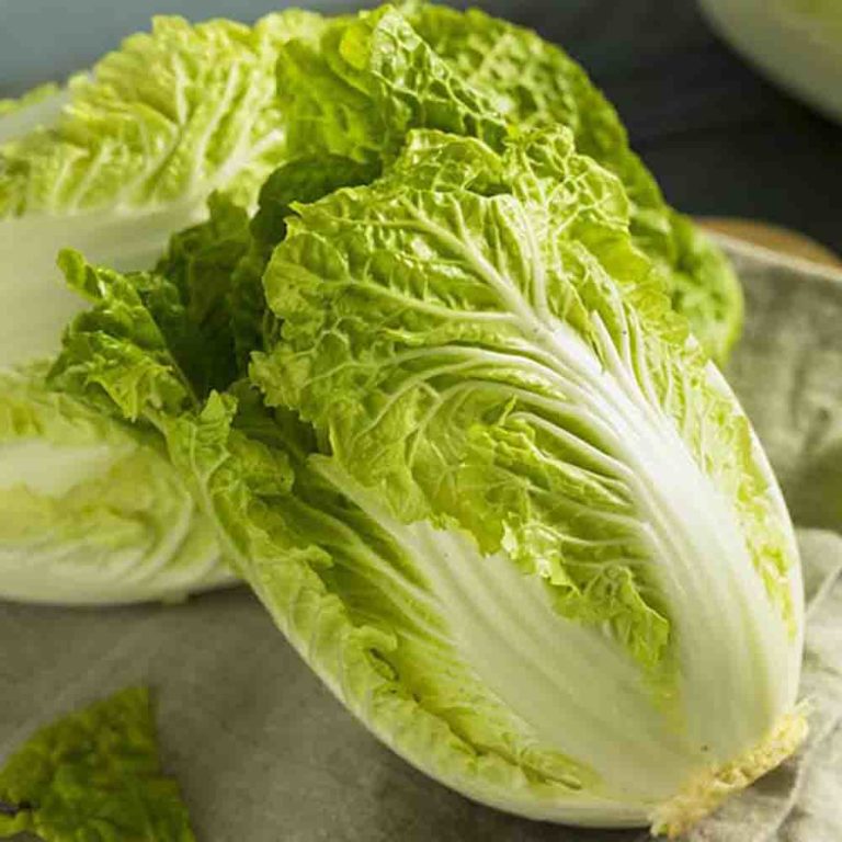 50 Giant Chinese Michihili Cabbage Seeds - Welldales