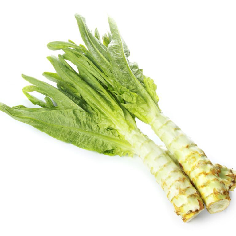 50 Chinese Stem Lettuce Seeds - Welldales