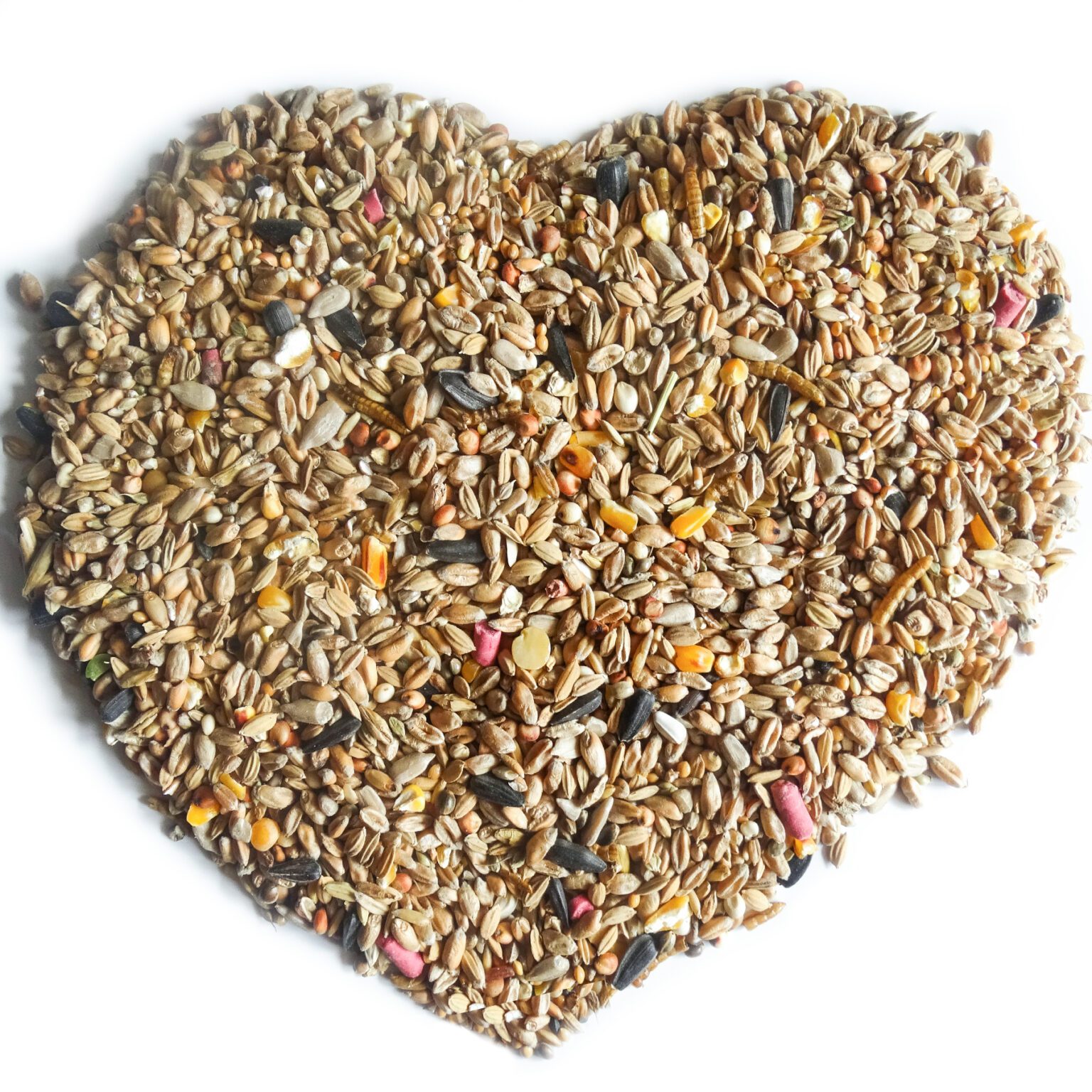 Complete Wild Bird Mixture All Season Seed Sunflower Hearts Calciworms ...