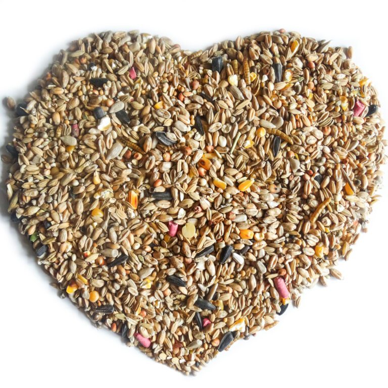 Complete Wild Bird Mixture All Season Seed Sunflower Hearts Calciworms ...