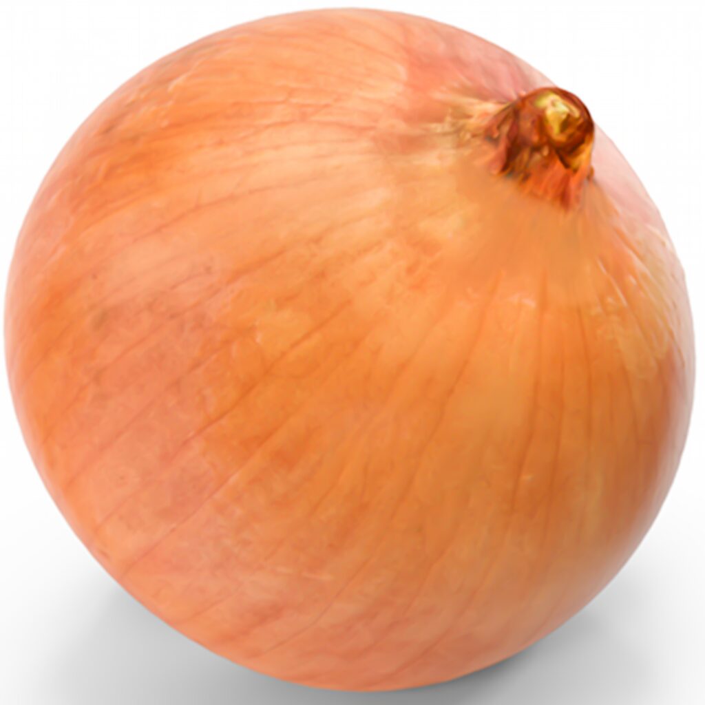 50 Spanish Giant Brown Onion Seeds - Welldales